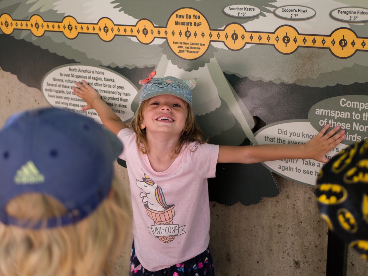 25876391-91f3-49a9-b6d6-c0c89835efe6 | Orihunje.com